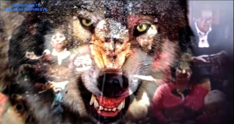 A STRONG WARNING TO FALSE SHEPHERDS | The Nation Of Judah Church